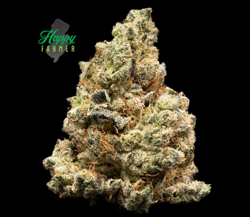 GiGi Snowberry Swirl | Buds | 3.5g - Absecon